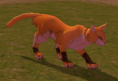 Cat - Fire Emblem Wiki