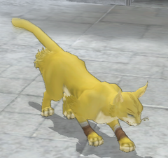 Cat - Fire Emblem Wiki